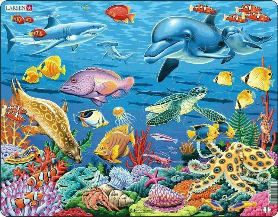 Coral Reef 35 Piece Kid's Puzzle by Larsen – The Puzzle Center